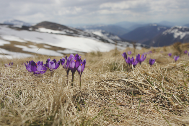 How to Prepare Your Car for Spring Driving